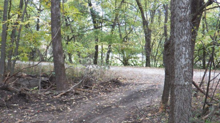 Things to do in Harrisonville - Visit Harrisonville!
